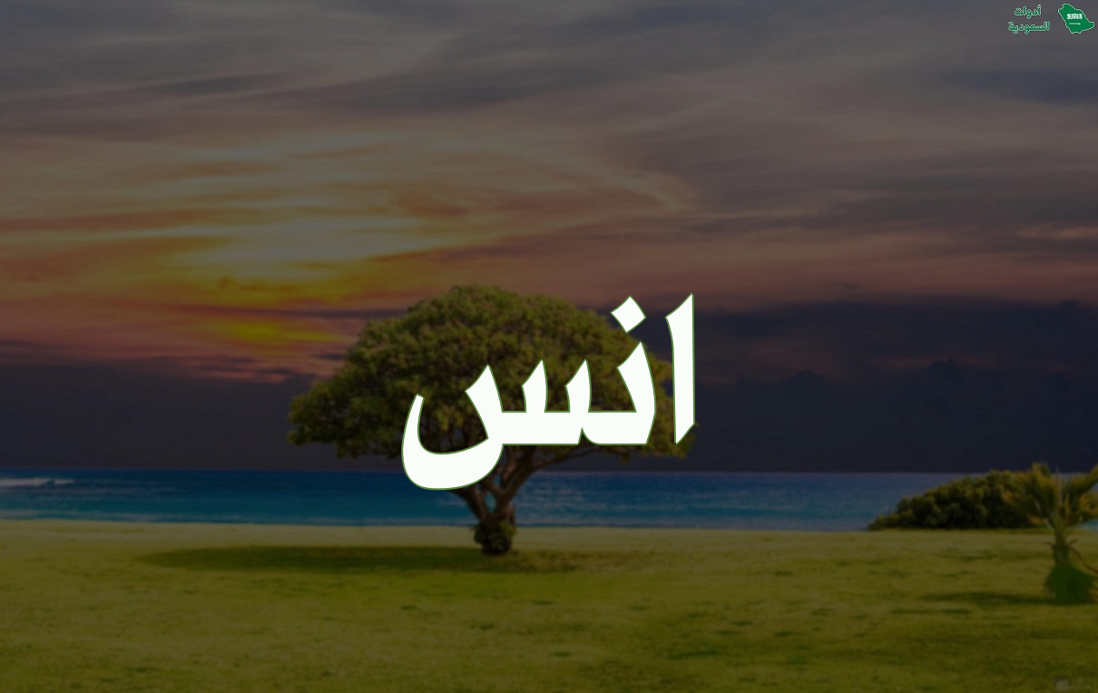 اسم انس مزخرف بالعربي والإنجليزي - أدوات السعودية
