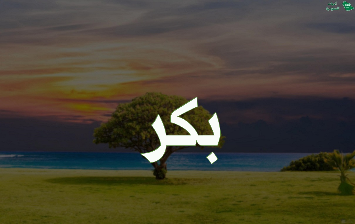 صور اسم بكر - أدوات السعودية