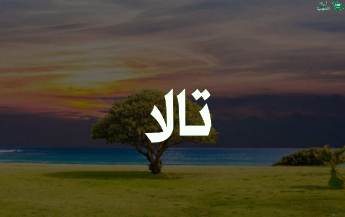 معنى اسم تالا - أدوات السعودية