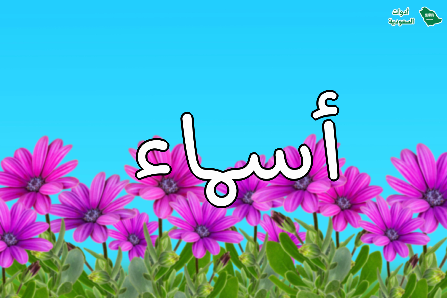 معنى اسم أسماء - أدوات السعودية